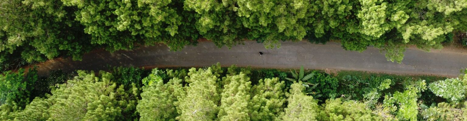 CUITISAN - With Life CUTISAN